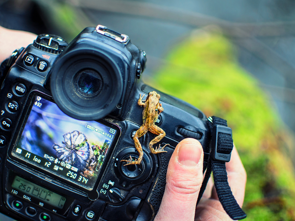 Game-Changing Photography Tips: Capture Perfect Pictures!