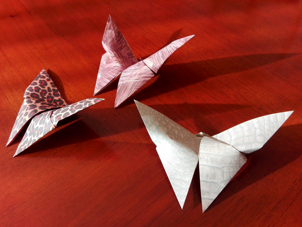 Master the Fold: Origami Tips to Unlock Your Potential!