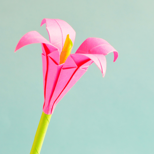 Master the Fold: Origami Tips to Unlock Your Potential!