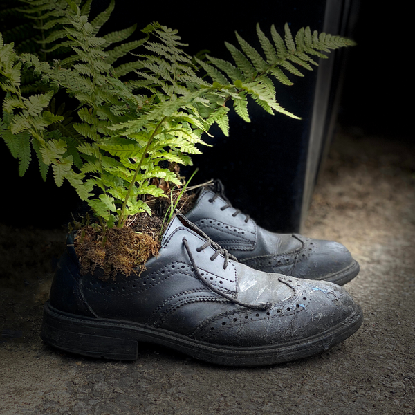 Upcycling Tips for Creating Eco-Friendly Masterpieces!