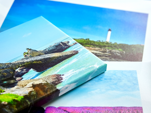 Types of Art Prints That Will Make Your Walls Pop!