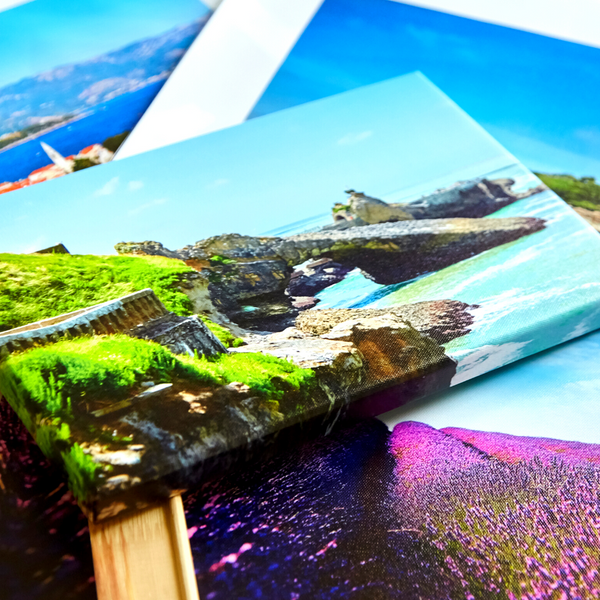 What is a DTF Printer? Trendy Way to Give Designs Life!