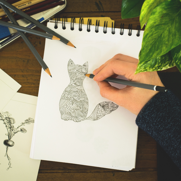 Illustration Art: Tips for Creating A Whole New World!