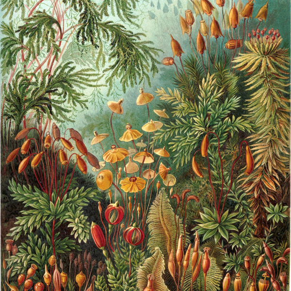 Illustration Art: Tips for Creating A Whole New World!