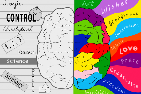 Great Brain Debate: Which Side of Your Brain is Creative?