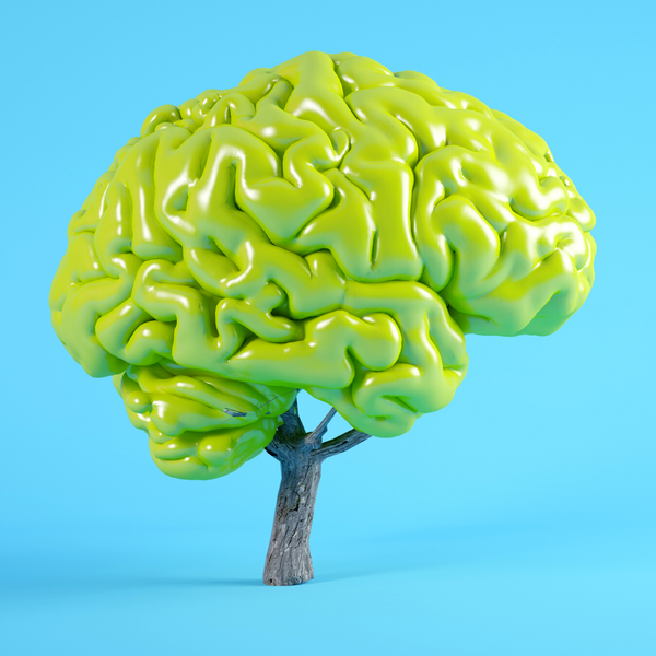 Great Brain Debate: Which Side of Your Brain is Creative?