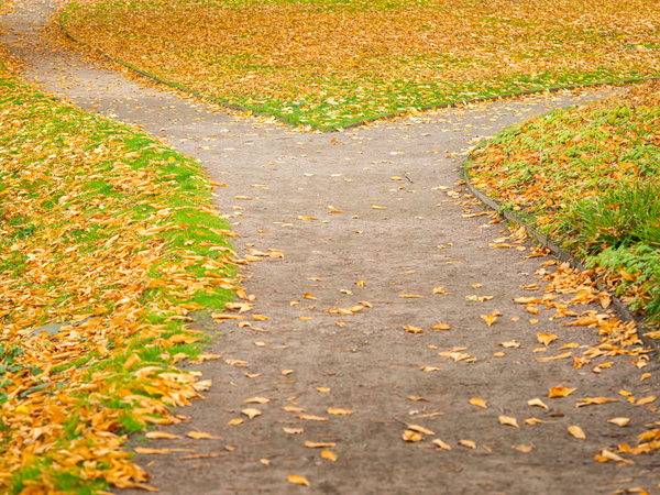 Creative Choices: Empowering Yourself Through the Arts