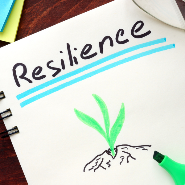 Bounce Back: Unleash the Art Of Resilience and Creativity
