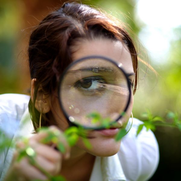 Curiosity in Art: Transform Creativity By Being Curious!