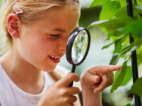 Curiosity in Art: Transform Creativity By Being Curious!