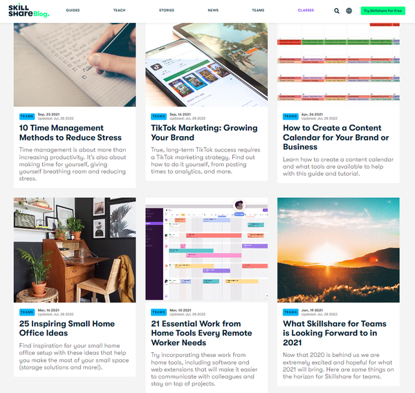Skillshare Courses: Creative Playground You Never Knew You Needed