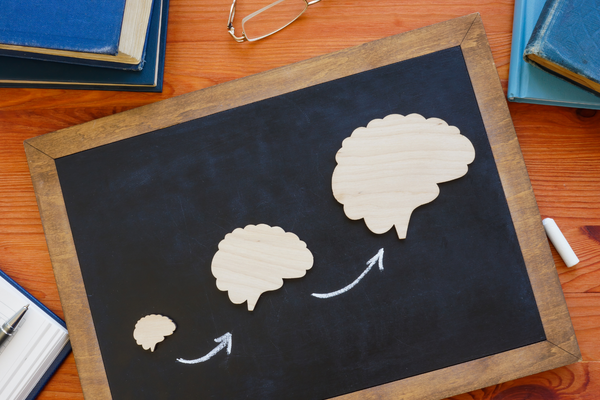 Become a Continuous Learner: Develop a Lifelong Mindset!