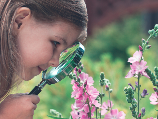 Curious People Change the World: Harnessing Creativity!