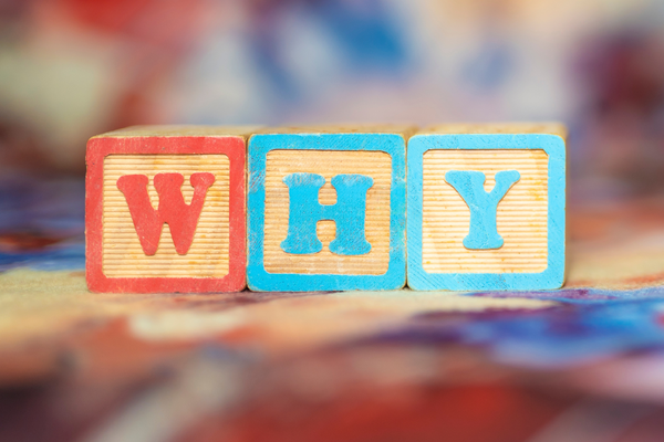 Discover Your Why: Creative Expedition into Your Purpose