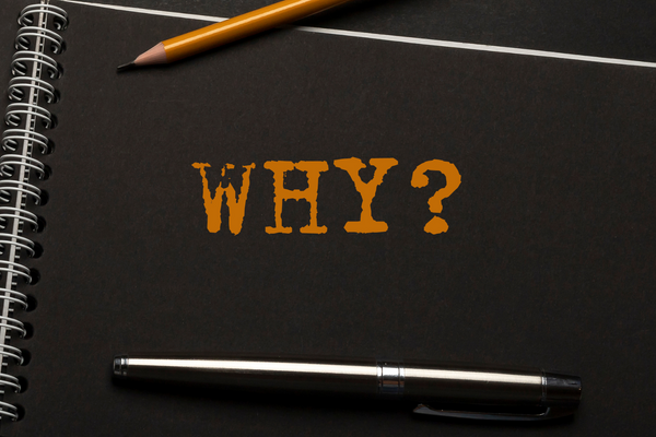 Discover Your Why: Creative Expedition into Your Purpose