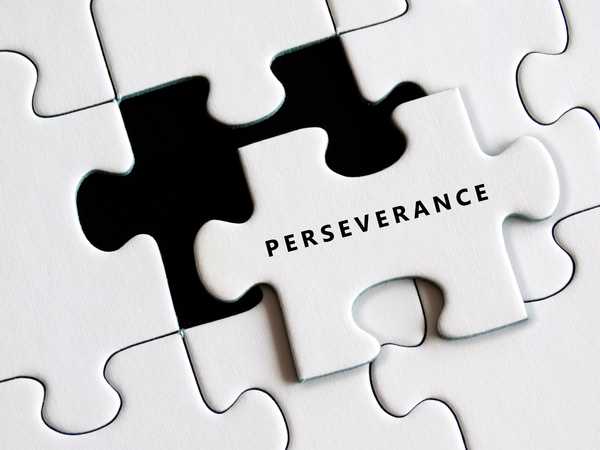 Endeavor to Persevere: Unyielding Spirit of Resilience!