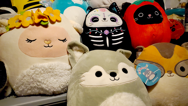 What Materials Do You Need to Make a Squishmallow?