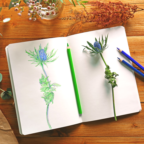 Drawings 101: How to Produce Creative Drawings