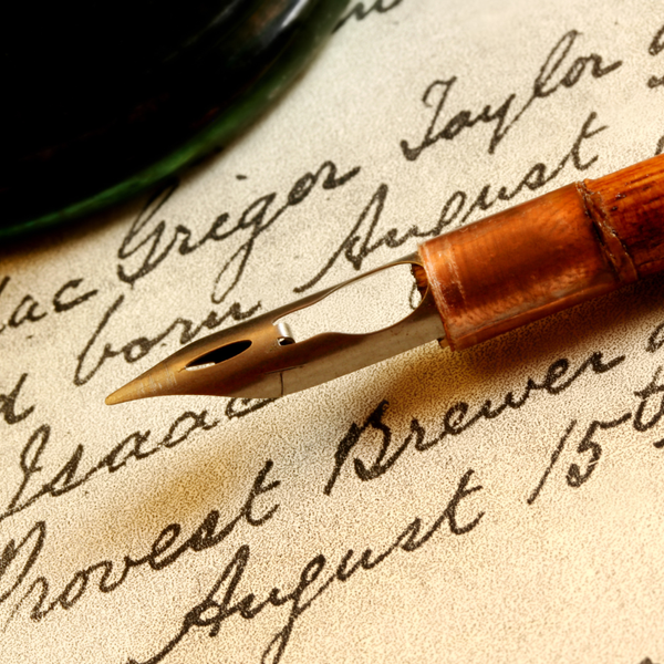 Which Nib is Best for Drawing? Finding the Perfect Nib