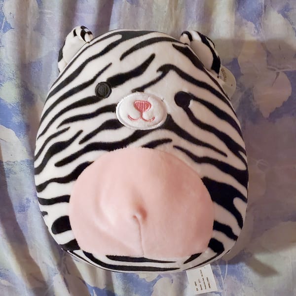 What Materials Do You Need to Make a Squishmallow?