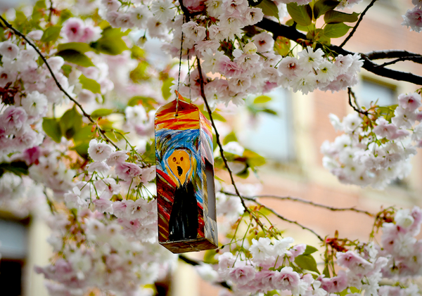 What is Upcycled Art? A Deep Dive into Creative Reuse