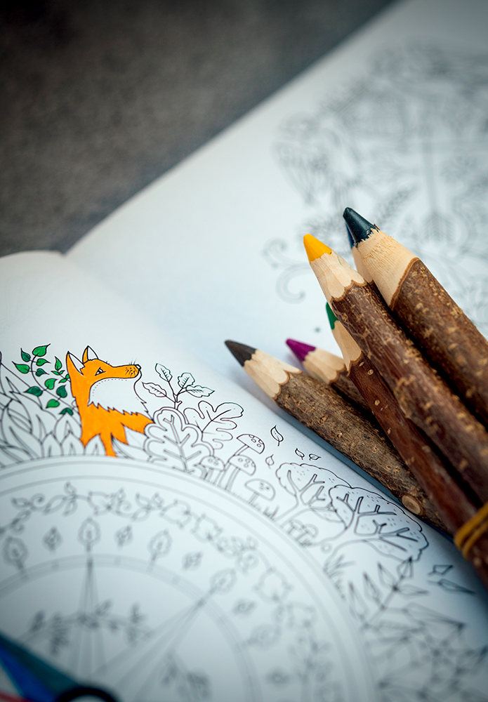 How Do I Create My Own Coloring Book? Personalized Guide